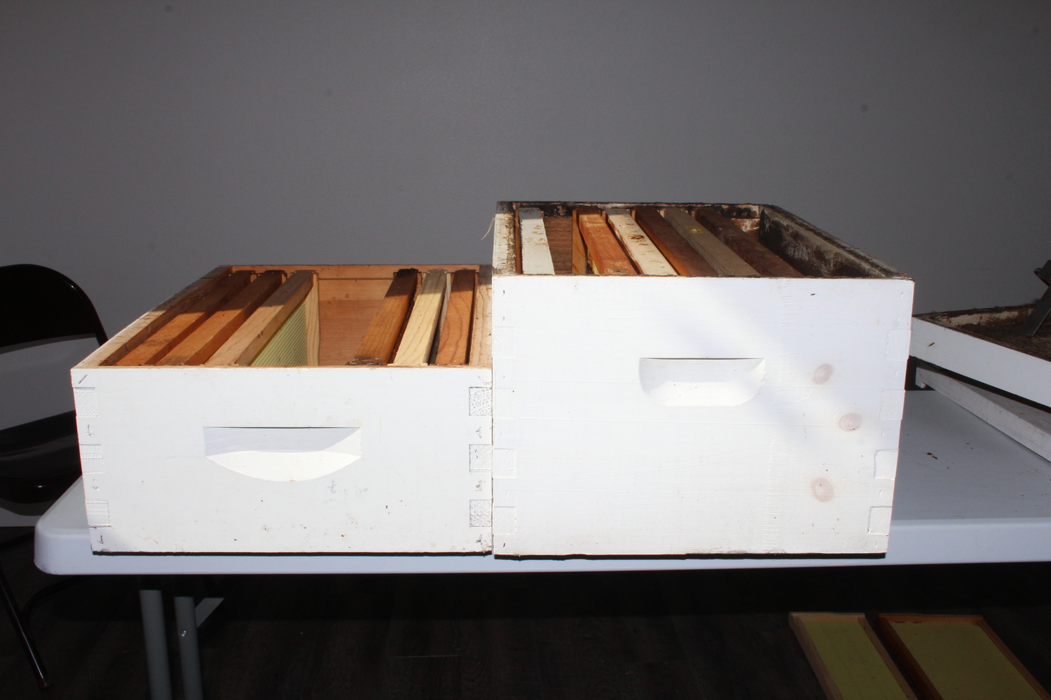 Texas Beekeeping 101