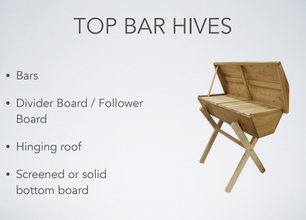 Texas Beekeeping 101