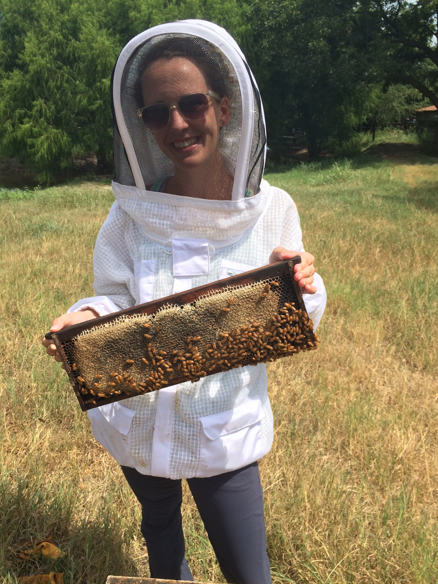 Texas Beekeeping 101